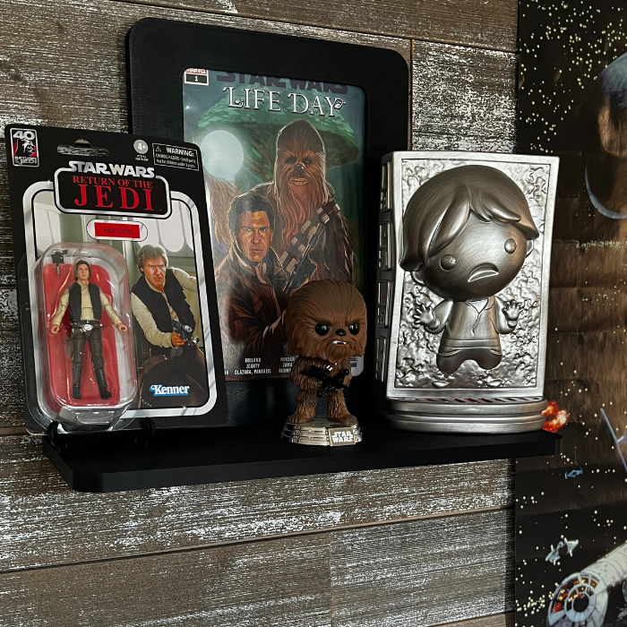 Display your comics with our wall mount or free standing frame – Nerd Hero